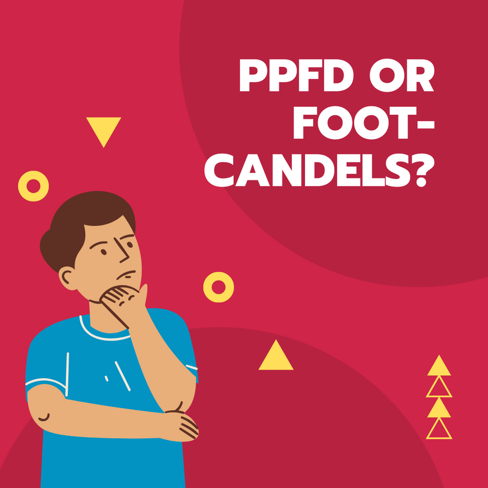 Why is PPFD used instead of foot-candles for measuring light ...